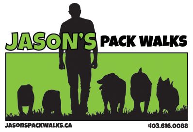 Jason's Pack Walks – Fun, social pack walks for your dog in Okotoks